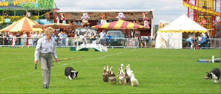 CDALC – Delivering support to local councils in County Durham